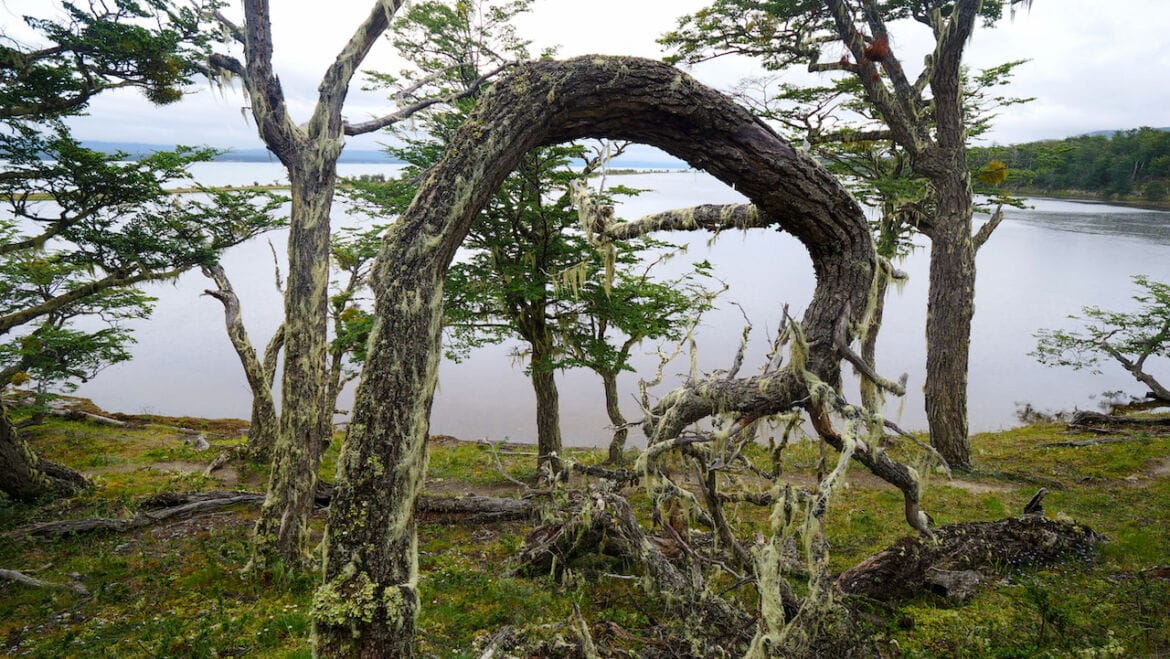 Things to do in Tolhuin, Tierra del Fuego (2026)
