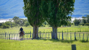 Estancia Nibepo Aike: A Ranch Day Trip from El Calafate | Che Argentina ...