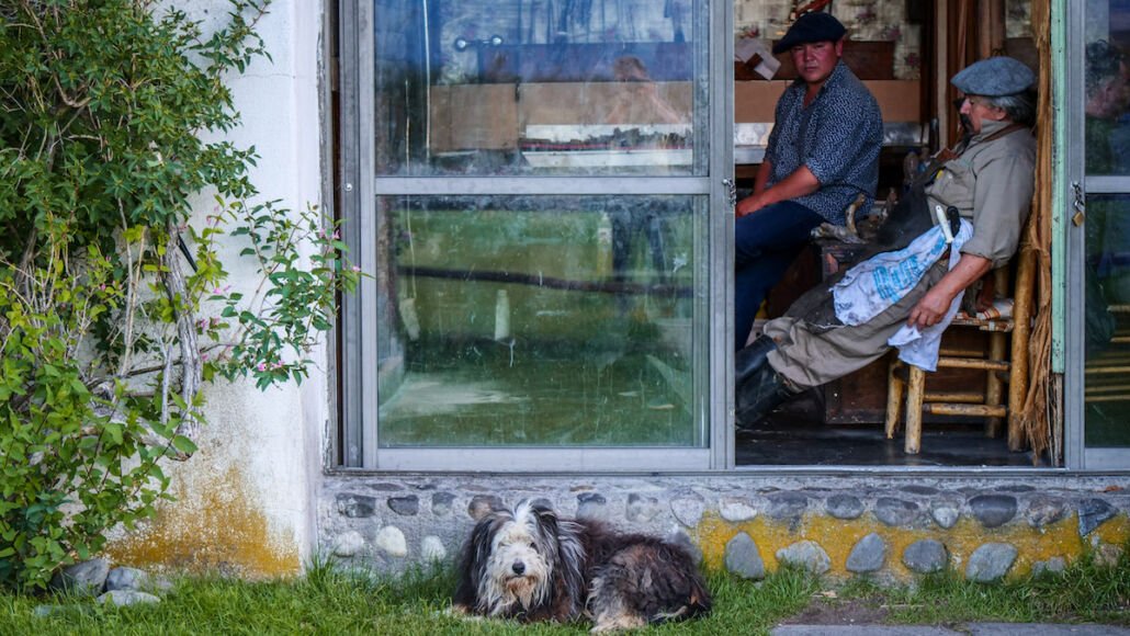 Estancia Nibepo Aike: A Ranch Day Trip from El Calafate | Che Argentina ...