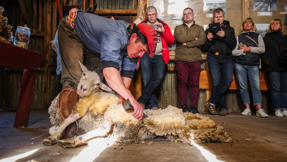 Estancia Nibepo Aike: A Ranch Day Trip from El Calafate | Che Argentina ...